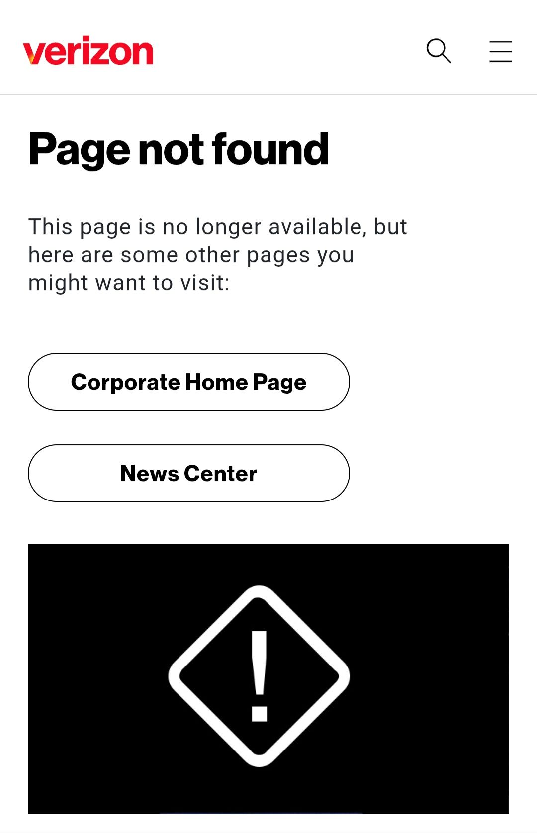 Verizon leaves the sinking DEI ship of fools. | Magnetricity